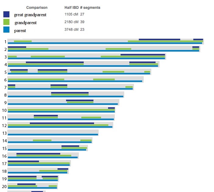 Your Genetic Genealogist: Known Relative Studies with 23andMe: Great ...